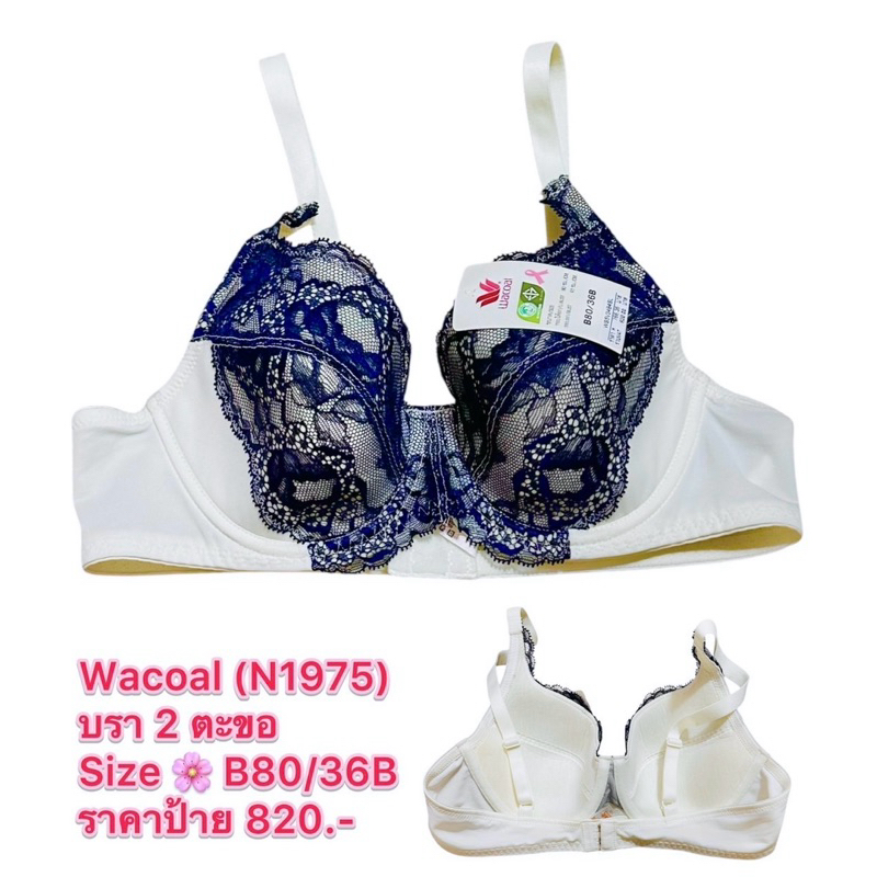 Wacoal วาโก้ เสื้อใน ชุดชั้นใน มีโครง ฟองบาง 2ตะขอ Size B80/36B | Shopee Thailand