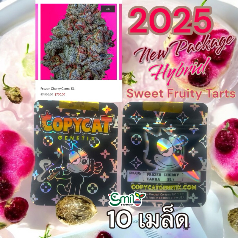 เมล็ดกัญชา Frozen Cherry Canna (Fem) เชอรี่หอมหวาน 2025* - Copycat ...