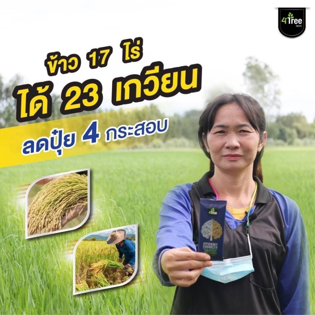 4Tree {1 ซอง} ของแท้ โฟร์ ทรี สารเสริมประสิทธิภาพพืชสูตรอิออน ช่วยเร่งราก พืชโตเร็ว ทำให้พืช ...