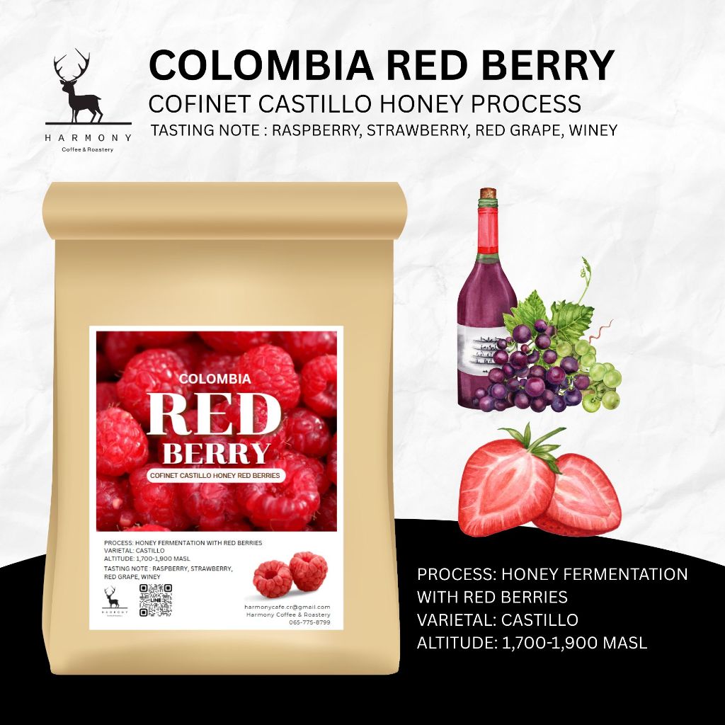 Colombia Red Berries Cofinet | Castillo Honey Process | กลิ่นรสผลไม้แดง ...