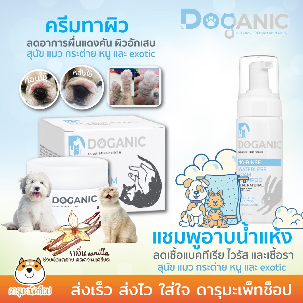 Doganic สินค้าดูแลสุนัข แมว และสัตว์เลี้ยง จากสมุนไพรไทย แชมพูอาบแห้ง ...