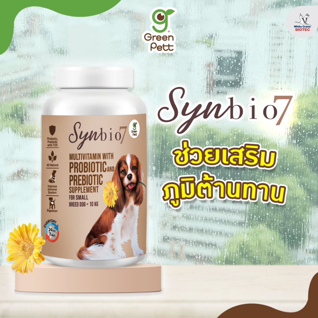 Synbio 7 ผลิตภัณฑ์อาหารเสริมวิตามิน ปรับสมดุลและระบบทางเดินอาหาร สำหรับ ...