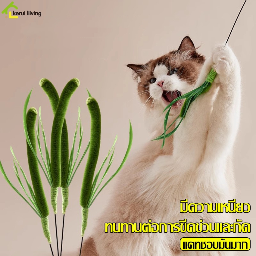 Harmcat ของเล่นแมว Cat Toy ไม้ตกแมว พร้อมขนนก ไม้ล่อแมวสปริง ของเล่น ...