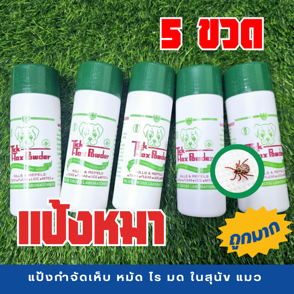 [5 ขวด] แป้งหมา แป้งกำจัดเห็บหมัด ไร แป้งกำจัดมด แป้งโรยตัวสุนัข แมว ...