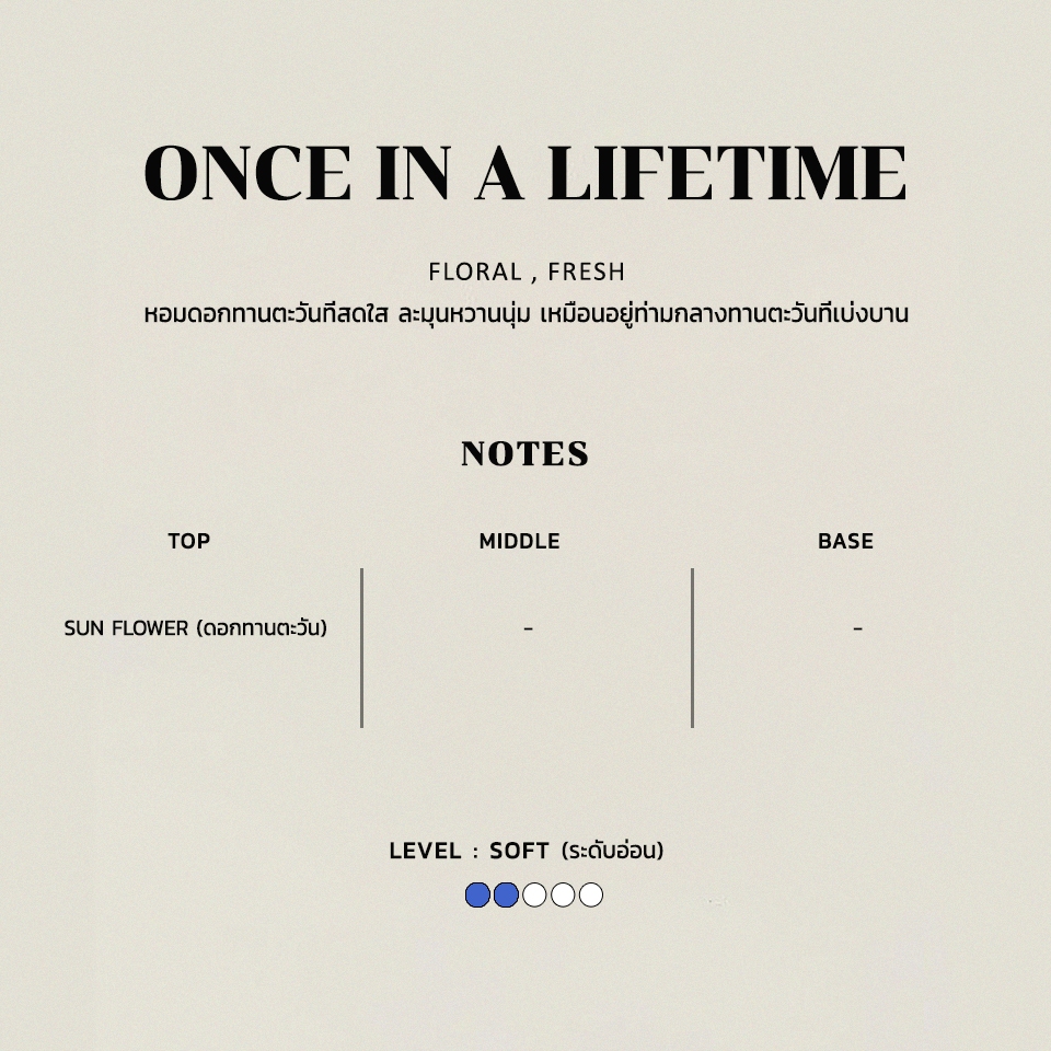 MINI PUMICE STONE SACHET 30 กรัม ถุงหอมขนาดเล็ก ถุงหอมสำหรับรถยนต์ ...