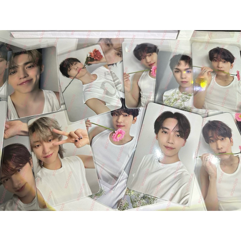 การ์ด Seventeen (17 is Right Here) Dear version - วอนอู จองฮัน โอชิ เอส ...