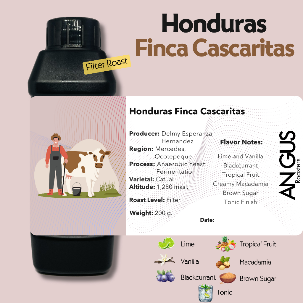 Angus Coffee Roasters เมล็ดกาแฟคั่ว Filter- Honduras Finca Cascaritas ...
