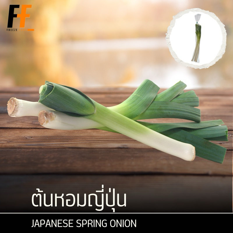 ต้นหอมญี่ปุ่น | JAPANESE SPRING ONION | Shopee Thailand