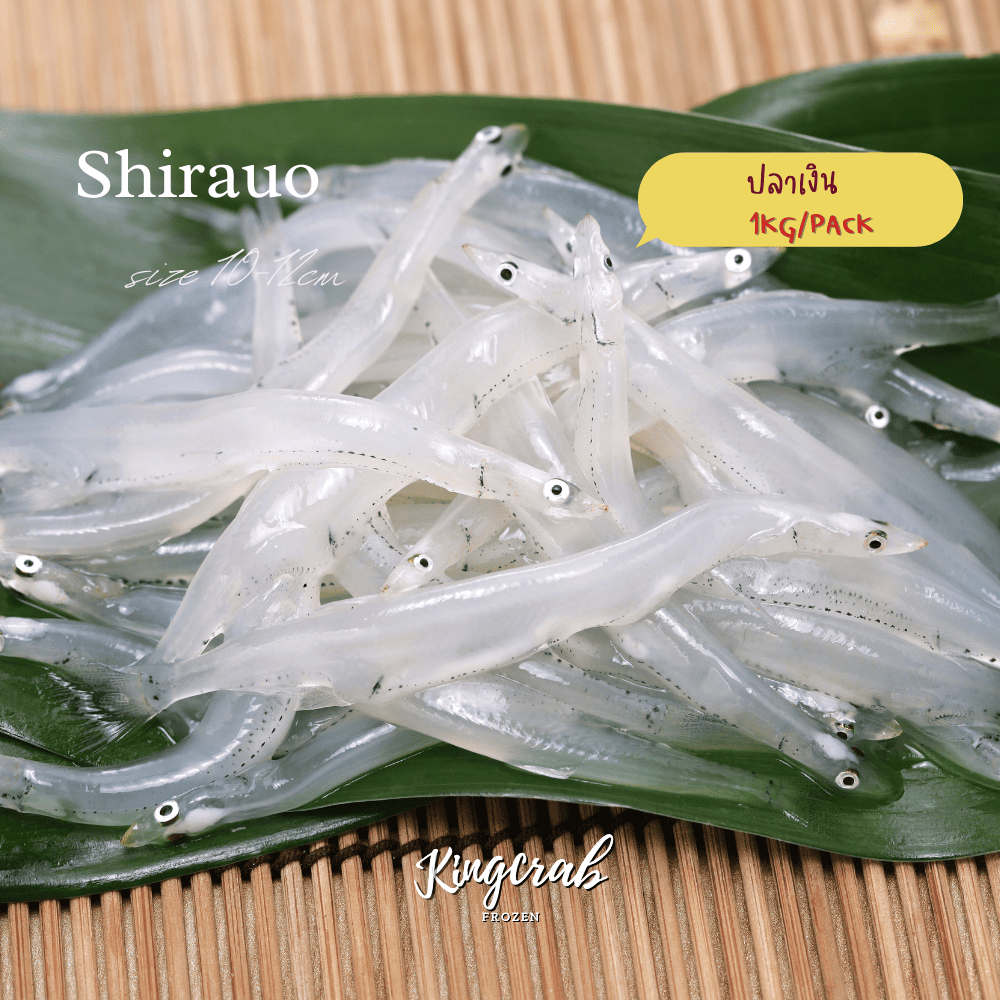 ปลาชิราอุโอะแช่แข็ง ปลาเงิน 1 กิโลกรัม/แพ็ค SILVER FISH SHIRAUO 1 KG ...