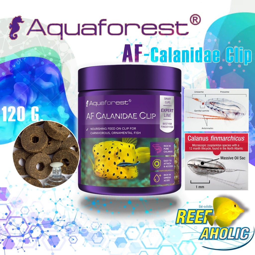 AF Calanidae Clip 120g อาหารปลาที่ผสมด้วยนานาวิตามินคุณภาพสูง แบบแปะข้างฝา ใช้ฝึกให้ปลากินอาหาร ...
