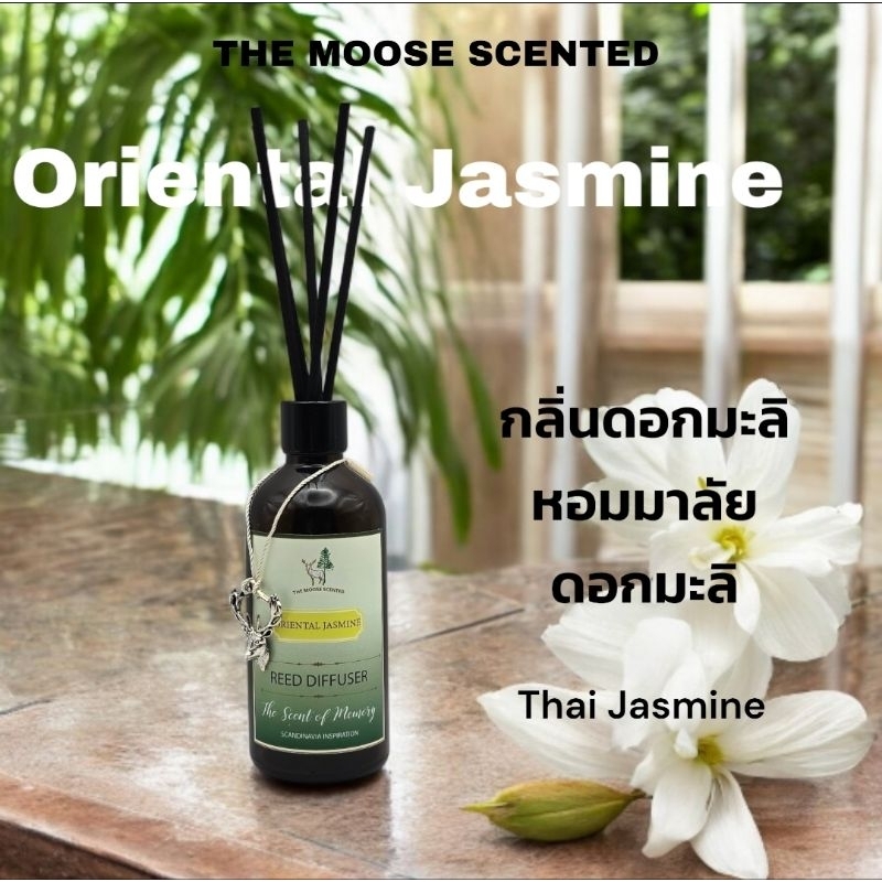 ก้านน้ำหอมกระจายกลิ่น กลิ่นดอกมะลิสด Oriental Jasmine ขนาด 100ml กระจายกลิ่นหอมในพื้นที่ของคุณ ...