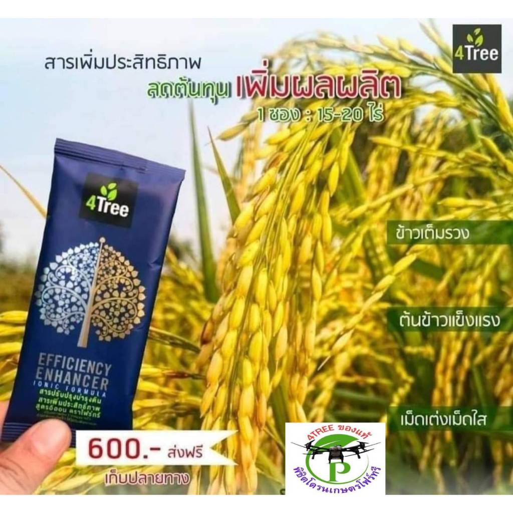 4Tree (โฟร์ ทรี) 1 ซอง ใช้ได้ 15-20 ไร่ สารเสริมประสิทธิภาพ พืชโตเร็ว ใช้ได้กับพืชทุกชนิด จาก ...