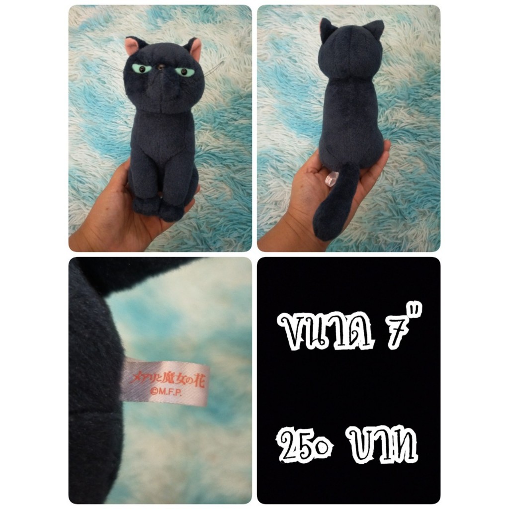 Tib Cat#ทิป#แมว#Mary The Witch Flower#แมรี่ผจญแดนแม่มด#ตุ๊กตาญี่ปุ่นมือ ...