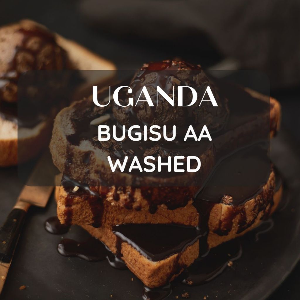 สารเมล็ดกาแฟ Uganda Bugisu AA Washed | Shopee Thailand