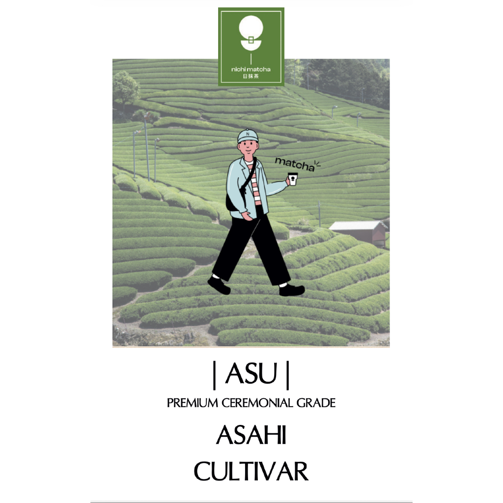 NICHI MATCHA | ผงมัทฉะอุจิสายพันธุ์เดียว Asu | Asahi Single Cultivar ...