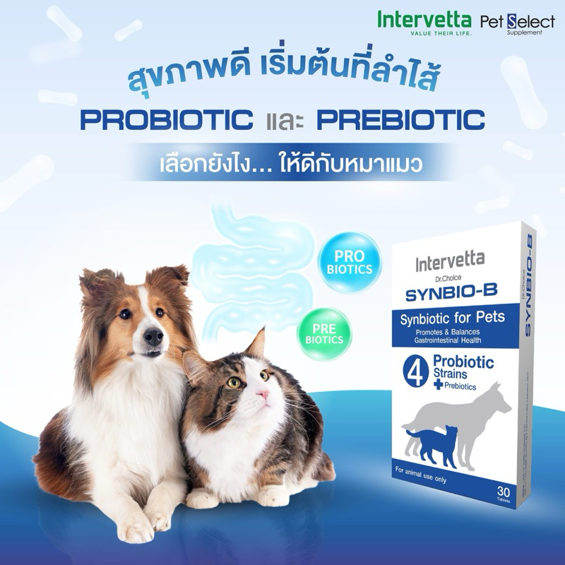 Synbio-b probiotic prebiotic Exp04/02/2026 อาหารเสริมปรับสมดุลทางเดิน ...
