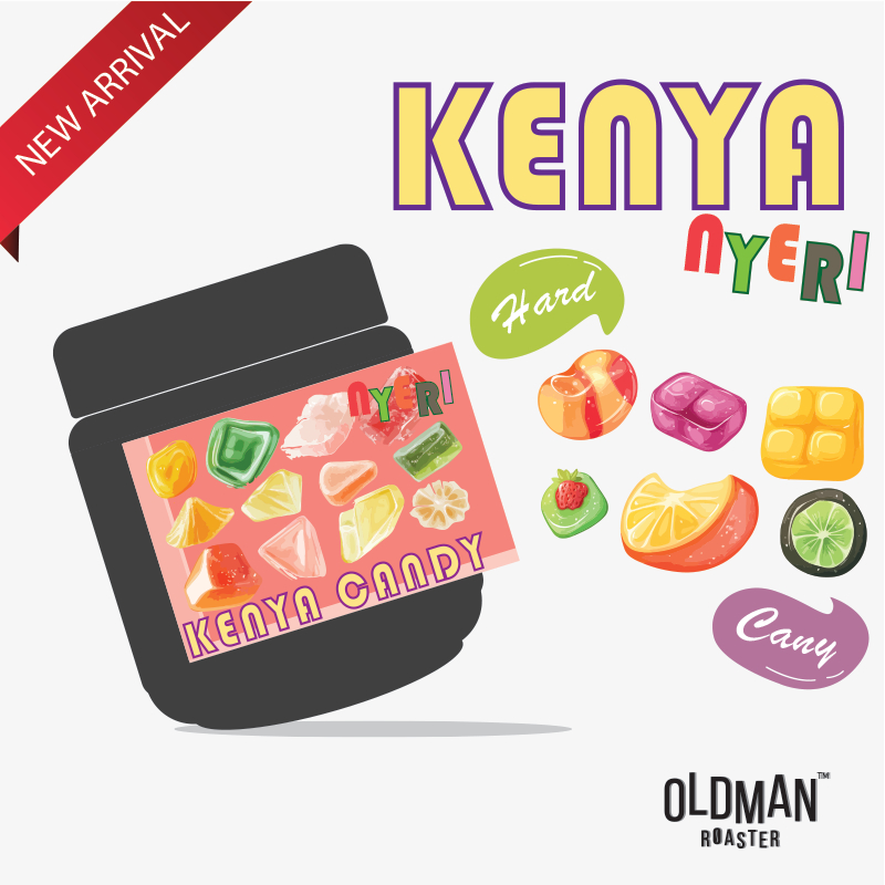เมล็ดกาแฟ KENYA NYERI HARD CANDY (คั่วอ่อน) 200 กรัม by OLDMAN ROASTER ...
