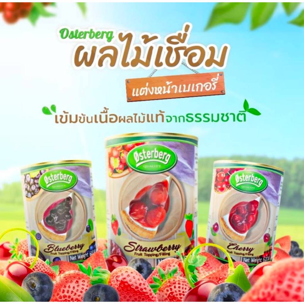 Osterberg Fruit Topping ออสเตอร์เบิร์ก ฟรุ๊ต ทอปปิ้ง 620 กรัม | Shopee Thailand