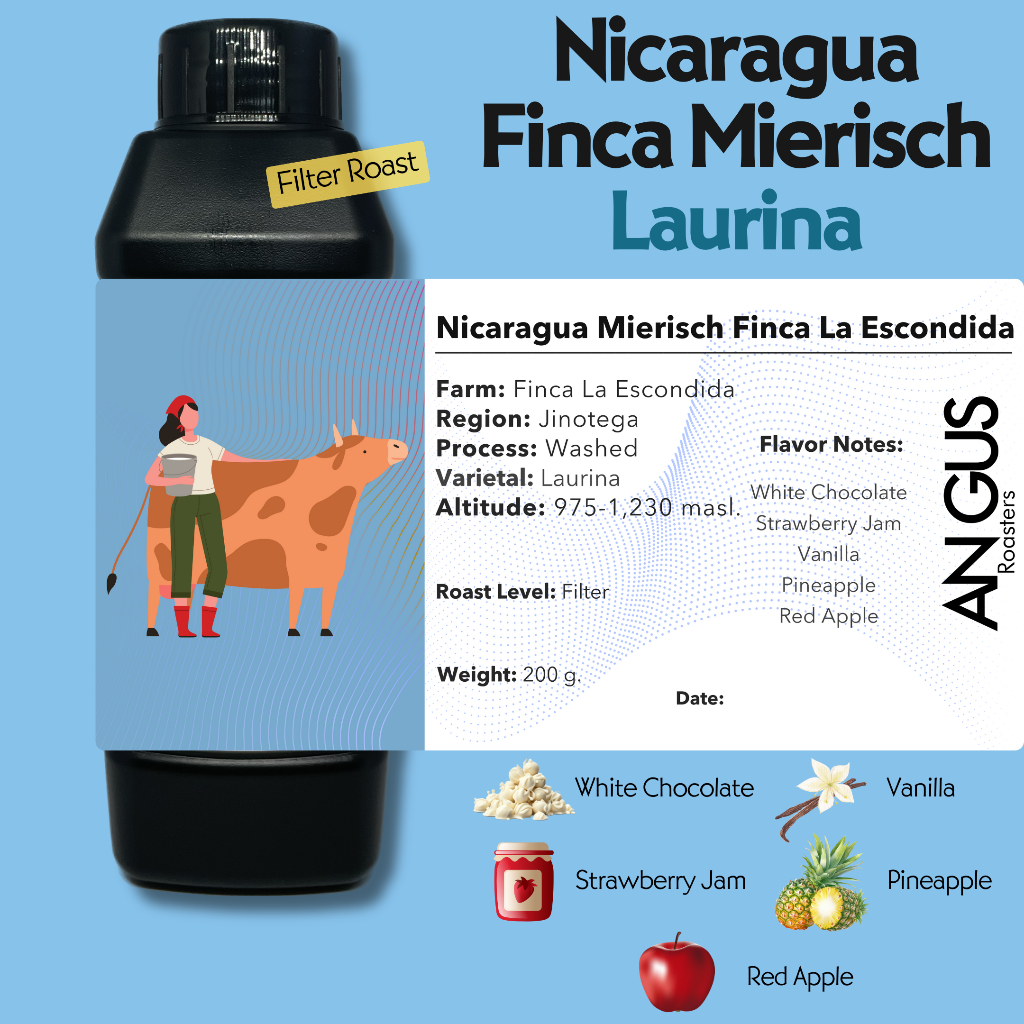 Angus Coffee Roasters เมล็ดกาแฟคั่วอ่อน Filter- Nicaragua Finca ...