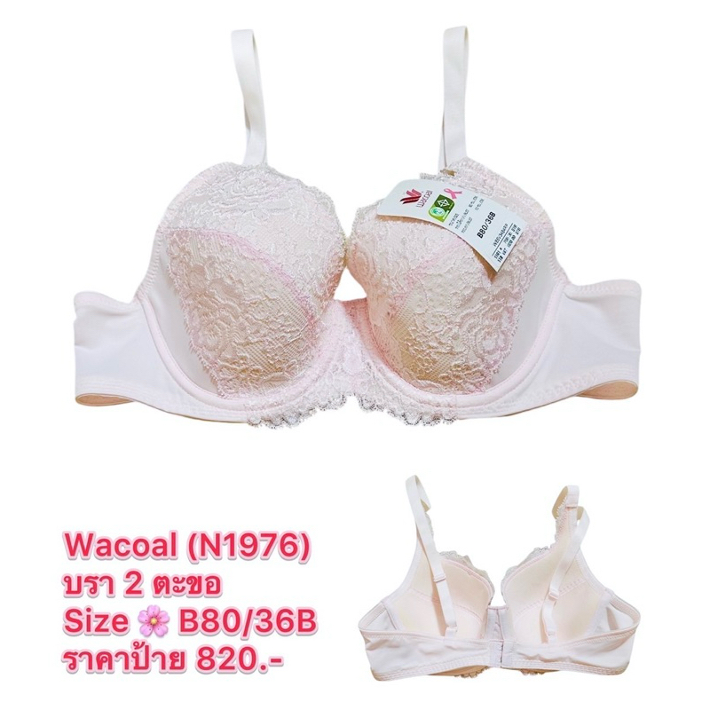 Wacoal วาโก้ เสื้อใน ชุดชั้นใน มีโครง ฟองบาง 2ตะขอ Size B80/36B | Shopee Thailand