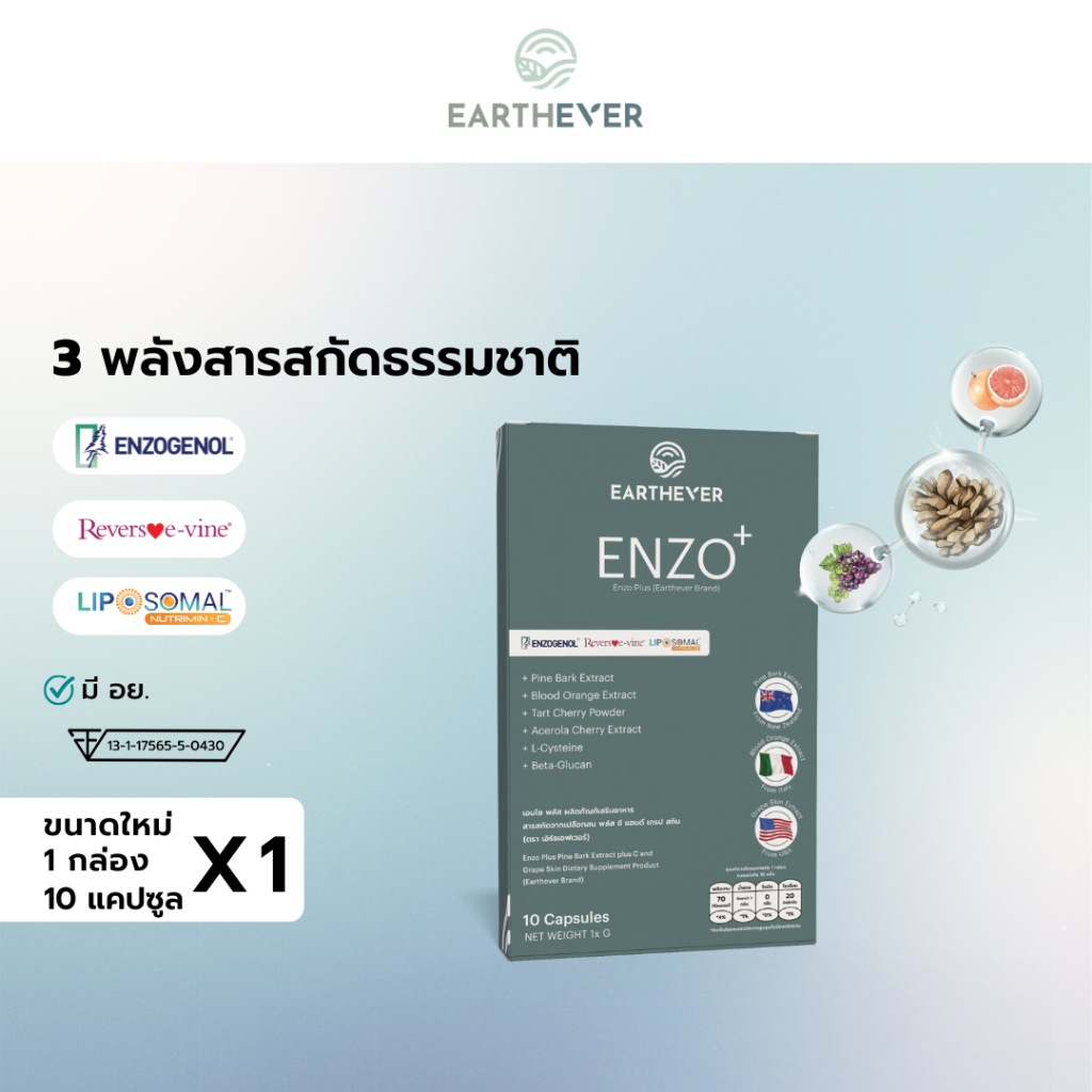 EARTHEVER ENZO Plus 10 แคปซูล 1 กล่อง | Shopee Thailand