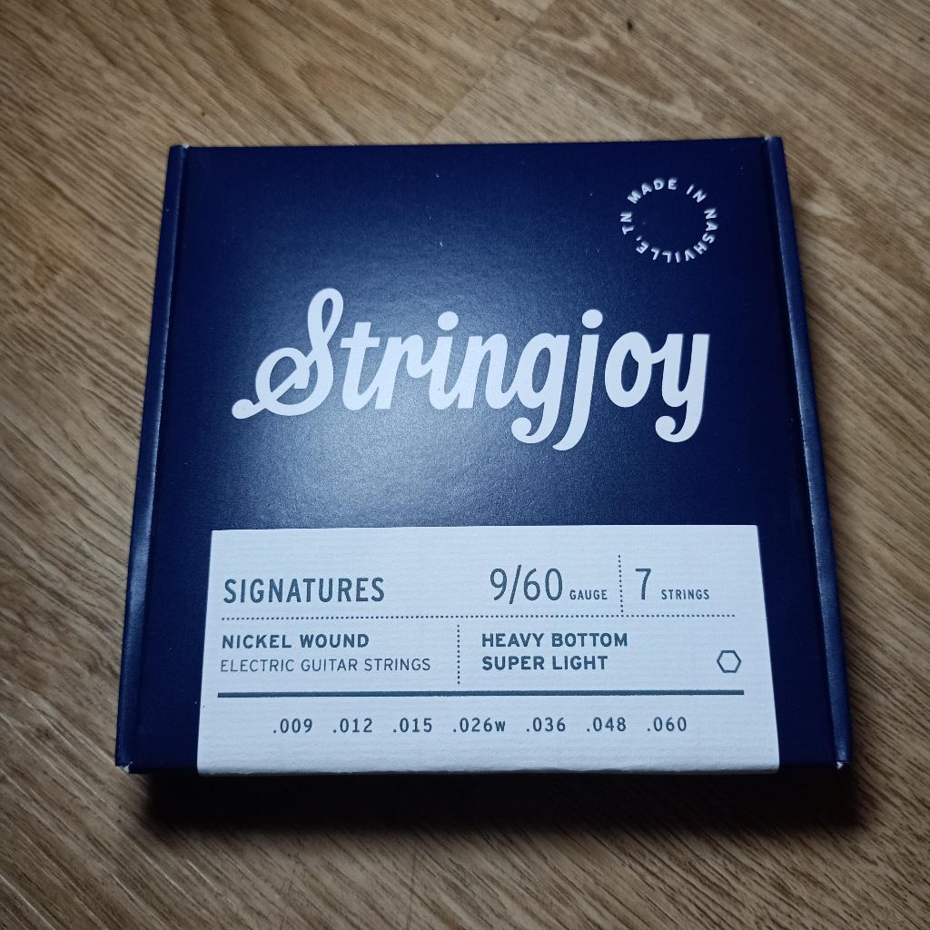 Stringjoy Signatures สายกีตาร์ไฟฟ้า 7 สาย เบอร์ 9 - 60 (7 string set ...