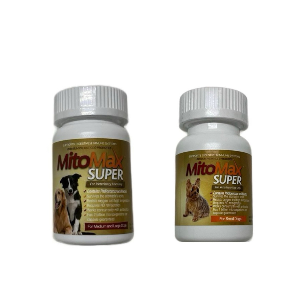 MitoMax SUPER อาหารเสริมดูแลระบบทางเดินอาหาร เสริมภูมิคุ้มกันสำหรับ ...