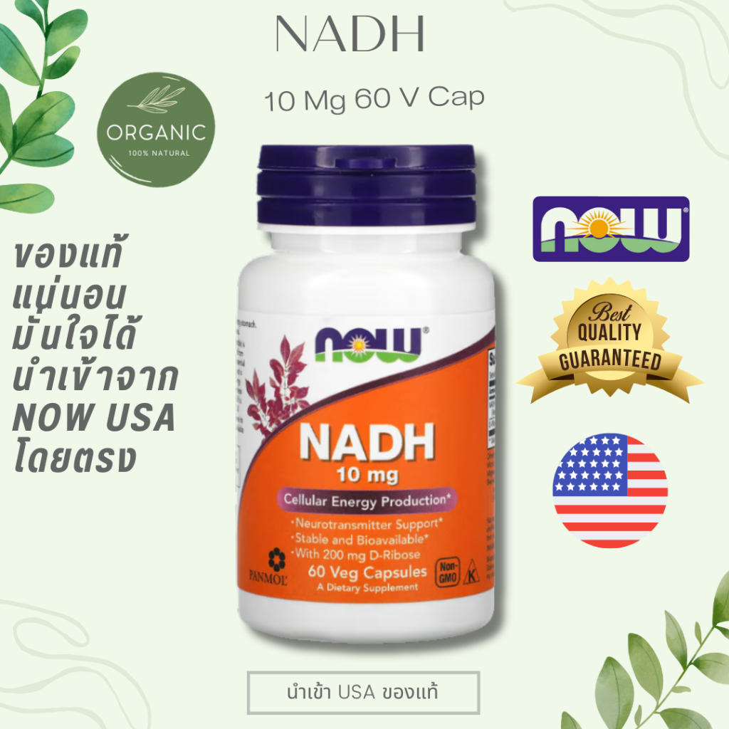 [ใส่ใจสุขภาพ] NOW FOODS NADH 10 mg 60 Cap เหมาะกับผู้ที่ทำงานหนักหรือพักผ่อนไม่เพียงพอ | Shopee ...
