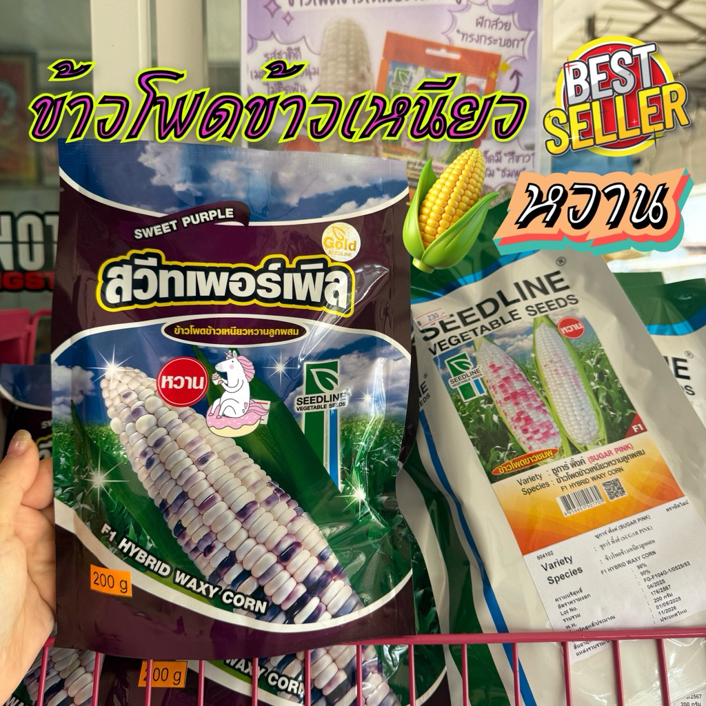 ข้าวโพดข้าวเหนียวหวานลูกผสม สวีทเพอร์เพิล 200 กรัม Seedline | Shopee Thailand