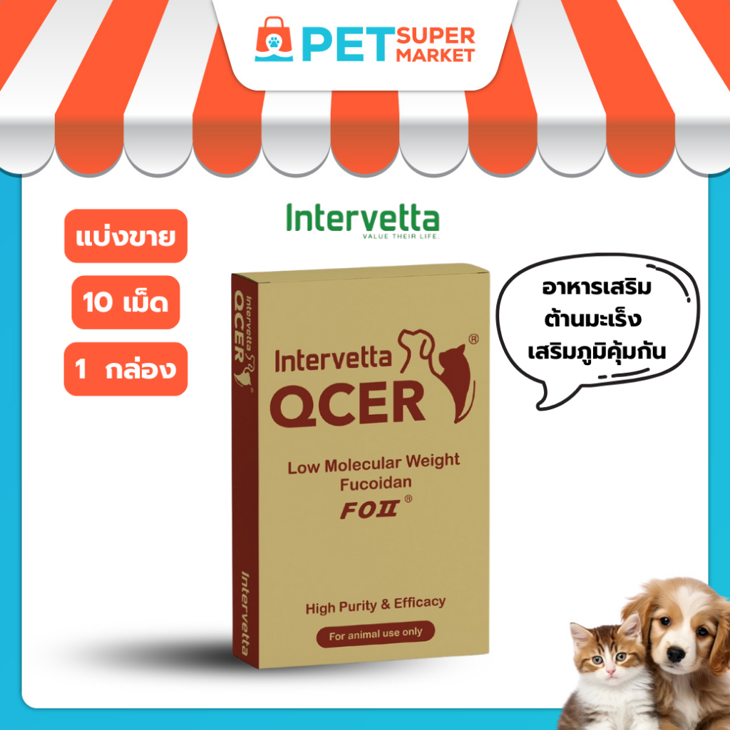 [ แบ่งขาย ] QCER คิวเซอร์ อาหารเสริมต่อต้านมะเร็ง เสริมภูมิคุ้มกันและ ...