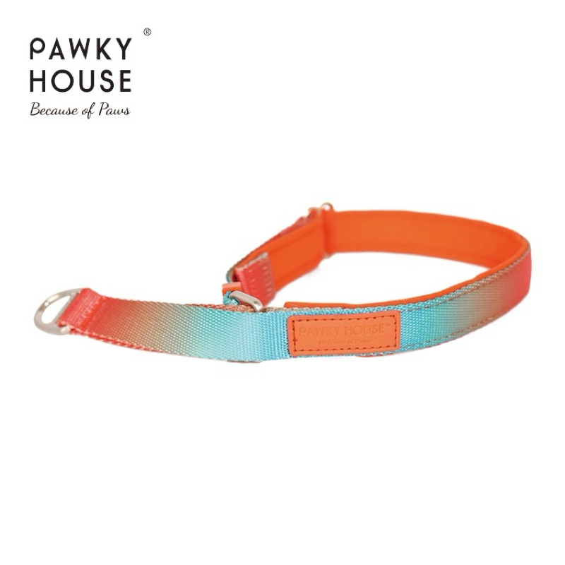 Pawky House ปลอกคอฝึกสุนัขTrainning Collar | Shopee Thailand