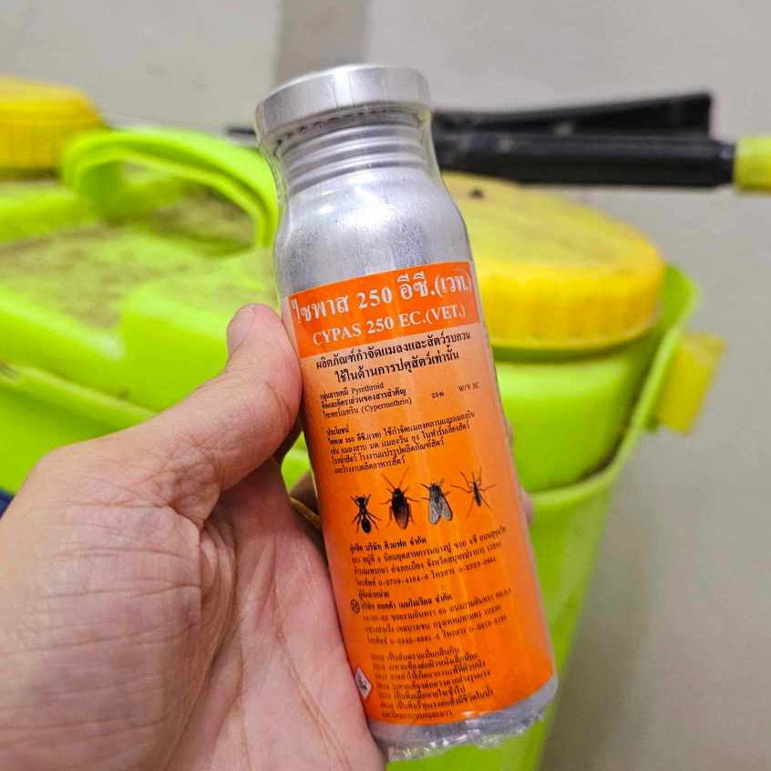 ไซพาส 250 อีซี Cypas 250 EC น้ำยาพ่นยุง ยากำจัดยุง ยาพ่นควัน กำจัดเห็บ ...