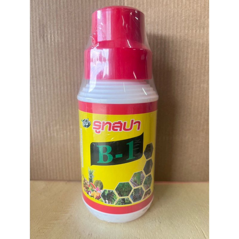 น้ำยาเร่งราก B1 ขนาด 500ml. | Shopee Thailand