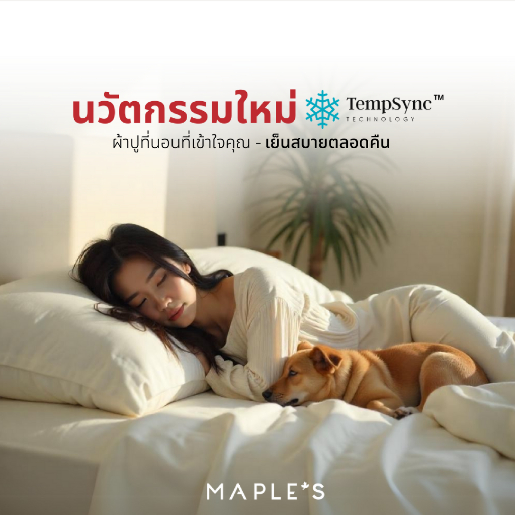 MAPLE'S ปลอกหมอน ปลอกหมอนข้าง 550เส้น กันไรฝุ่นเหมาะสำหรับคนเป็นภูมิเเพ้ MicroCotton pillowcase ...