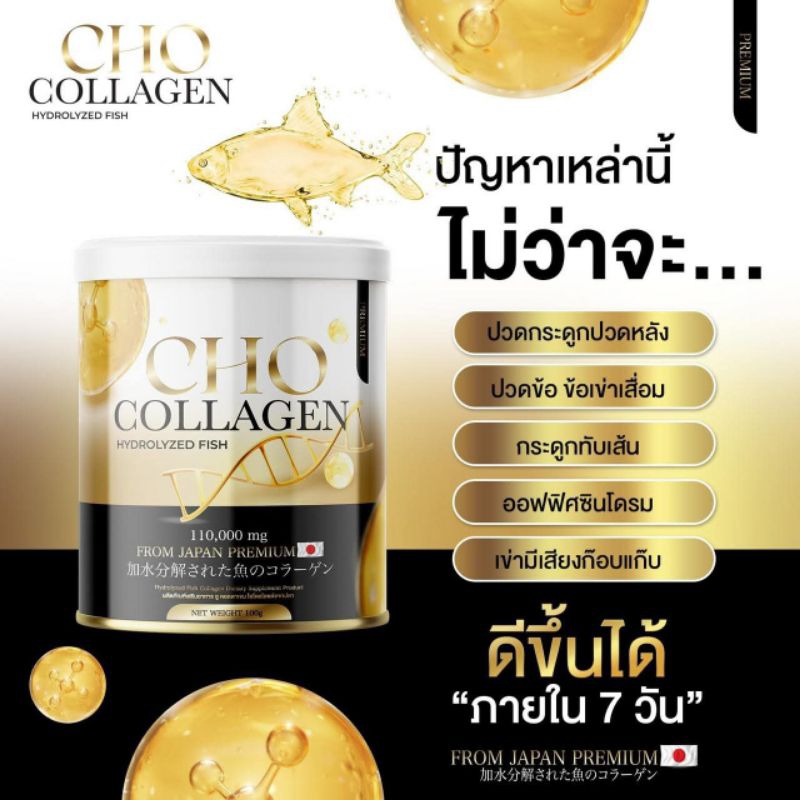 CHO Collagen คอมเพล็กซ์แท้จากญี่ปุ่น 🇯🇵 บำรุงกระดูกให้แข็งแรง | Shopee ...