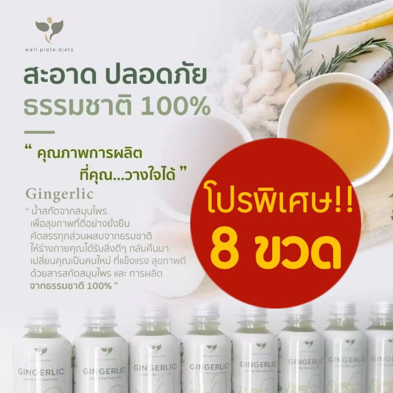 (โปร 8 ขวด) GINGERLIC น้ำกระเทียมสกัดเข้มข้น น้ำสมุนไพรสกัดเย็น กระเทียม ขิง มะนาว น้ำแอปเปิ้ลไซ ...
