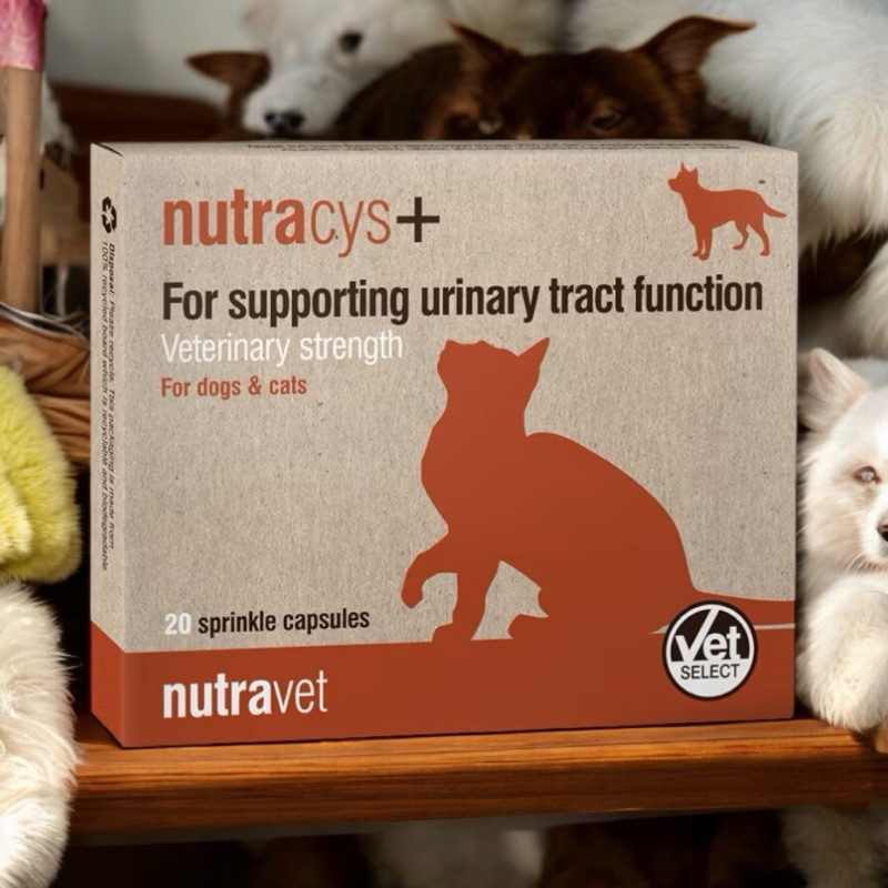 Nutracys+ อาหารเสริมดูแลระบบทางเดินปัสสาวะ สำหรับสุนัขและแมว บรรจุ 20 ...