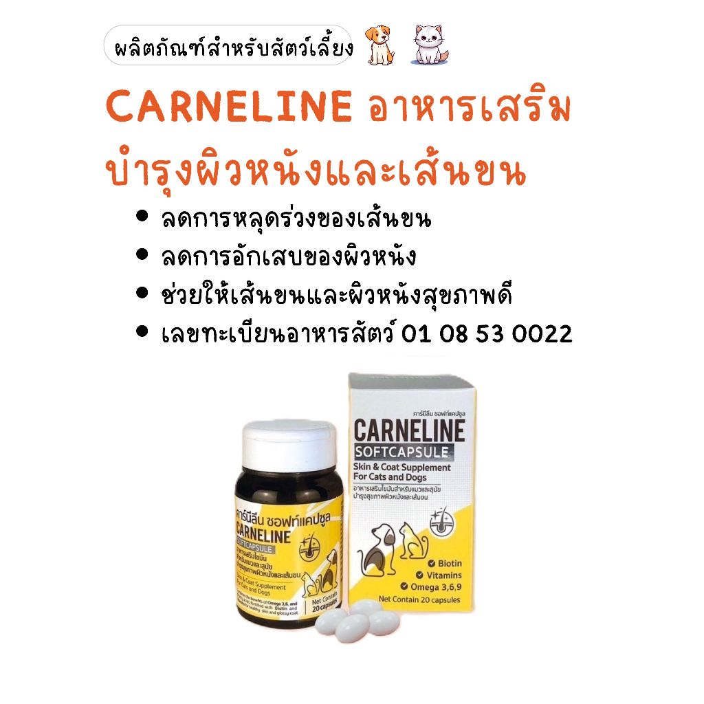 CARNELINE SOFTCAPSULE คาร์นีลีน วิตามินบำรุงผิวหนังและเส้นขนสำหรับสุนัข ...