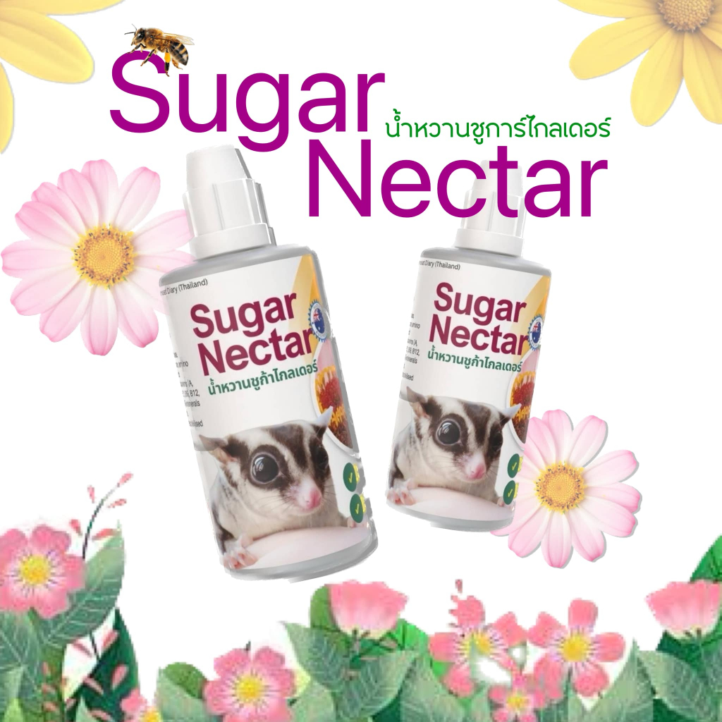 Sugar Nectar น้ำหวานชูก้าไกลเดอร์ (นำเข้าจากประเทศออสเตรเลีย) มีคุณ ...