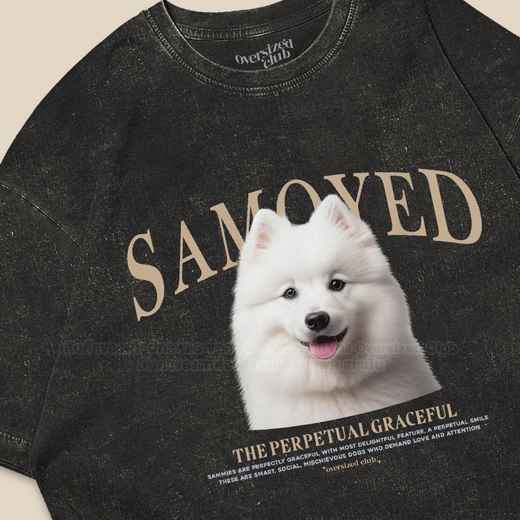 เสื้อยืดโอเวอร์ไซส์ สกรีนลาย Samoyed ซามอยด์ [Oversize Cotton 100% by ...