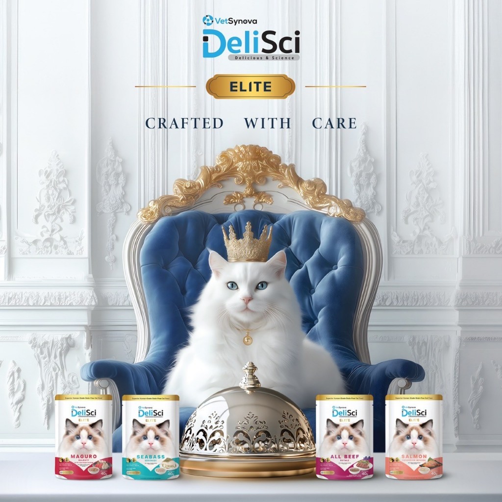 DeliSci Elite ขนาดซอง 40g อาหารเปียก พรีเมี่ยมเกรด เนื้อแน่นๆ เสริม ...