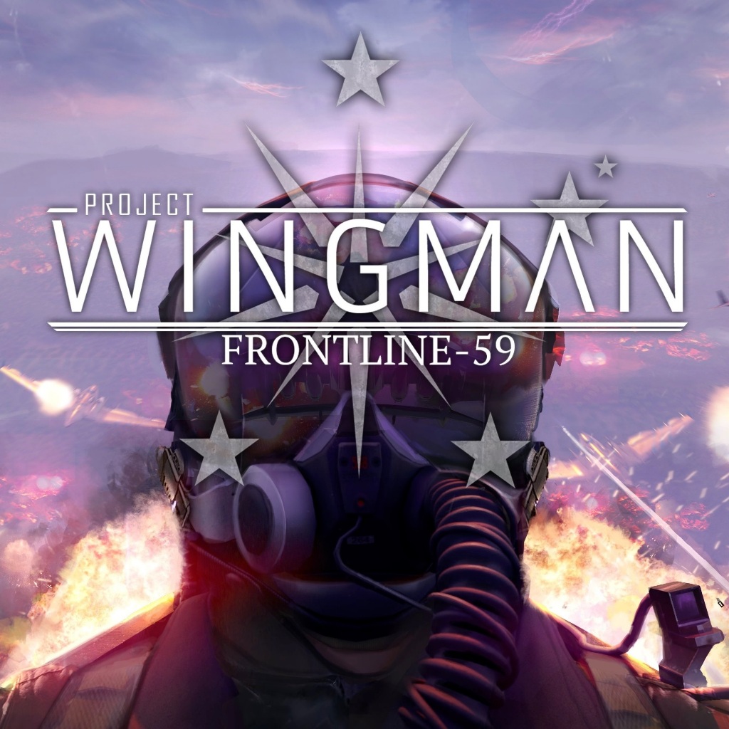Project Wingman Frontline-59 Edition เกม USB | Shopee Thailand