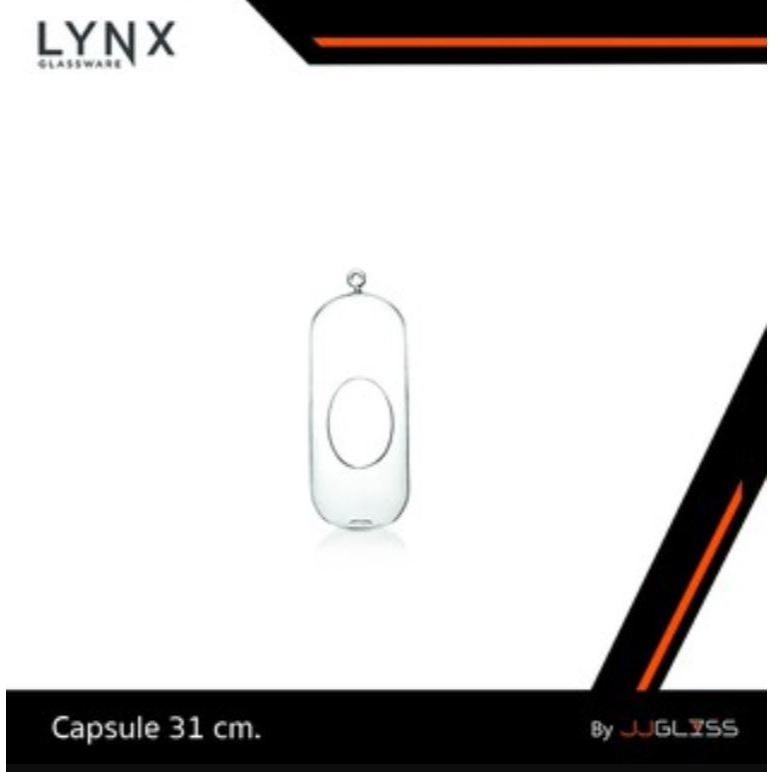🔥JJGLASS - (LYNX) Capsule 31 cm. - แจกันแขวน Terrarium ทรงแคปซูล เนื้อ ...