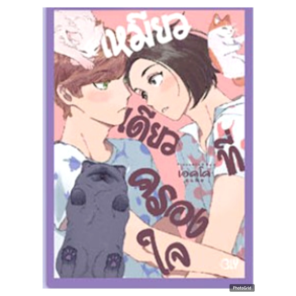 เหมียวเดียวที่ครองใจ เล่มเดียวจบ การ์ตูนวาย หนังสือการ์ตูนวาย BL มังงะ มือหนึ่ง BLY 5/4/68 ...