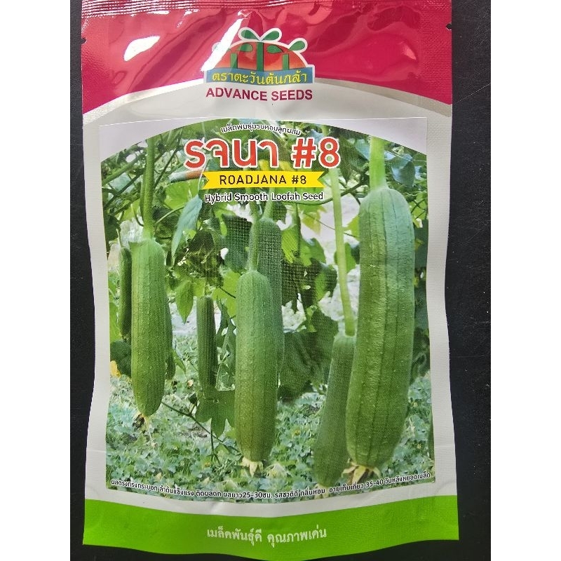 เมล็ดบวบหอม รจนา 8 ขนาด 50 กรัม ผลดก ผลยาว 25-30 ซม. ตรา ตะวันต้นกล้า ...