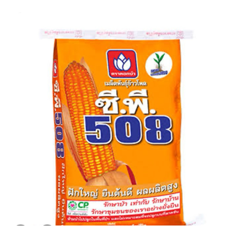 เมล็ดพันธุ์ข้าวโพดเลี้ยงสัตว์ CP508 3หุน 10กก | Shopee Thailand