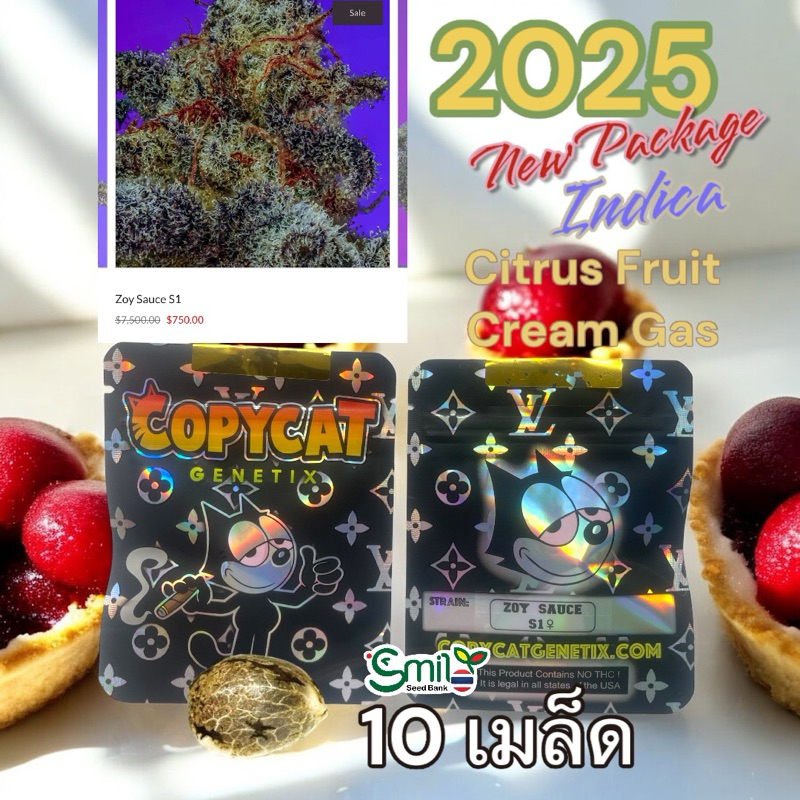 เมล็ดกัญชา Zoy Sauce S1 (Fem) Full Terp* - Copycat Genetix | Shopee ...