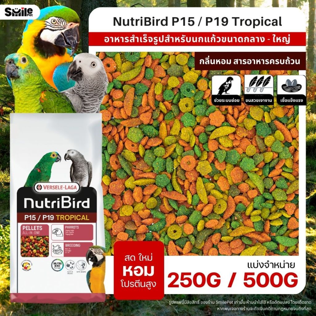 NutriBird P15 / P19 Tropical อาหารนกแก้ว อัดเม็ดสำเร็จรูป สำหรับนกขนาด ...