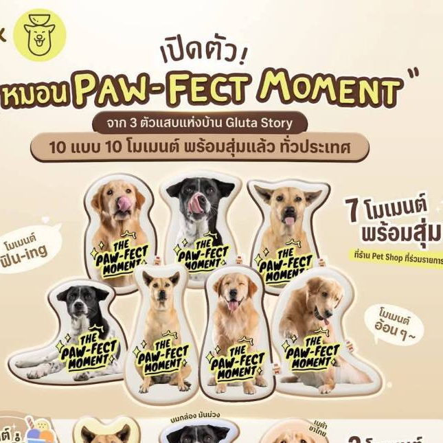 หมอน Gluta Story จำนวนจำกัด ซื้อสินค้า SmartHeart Gold ครบ 499.- รับ ...