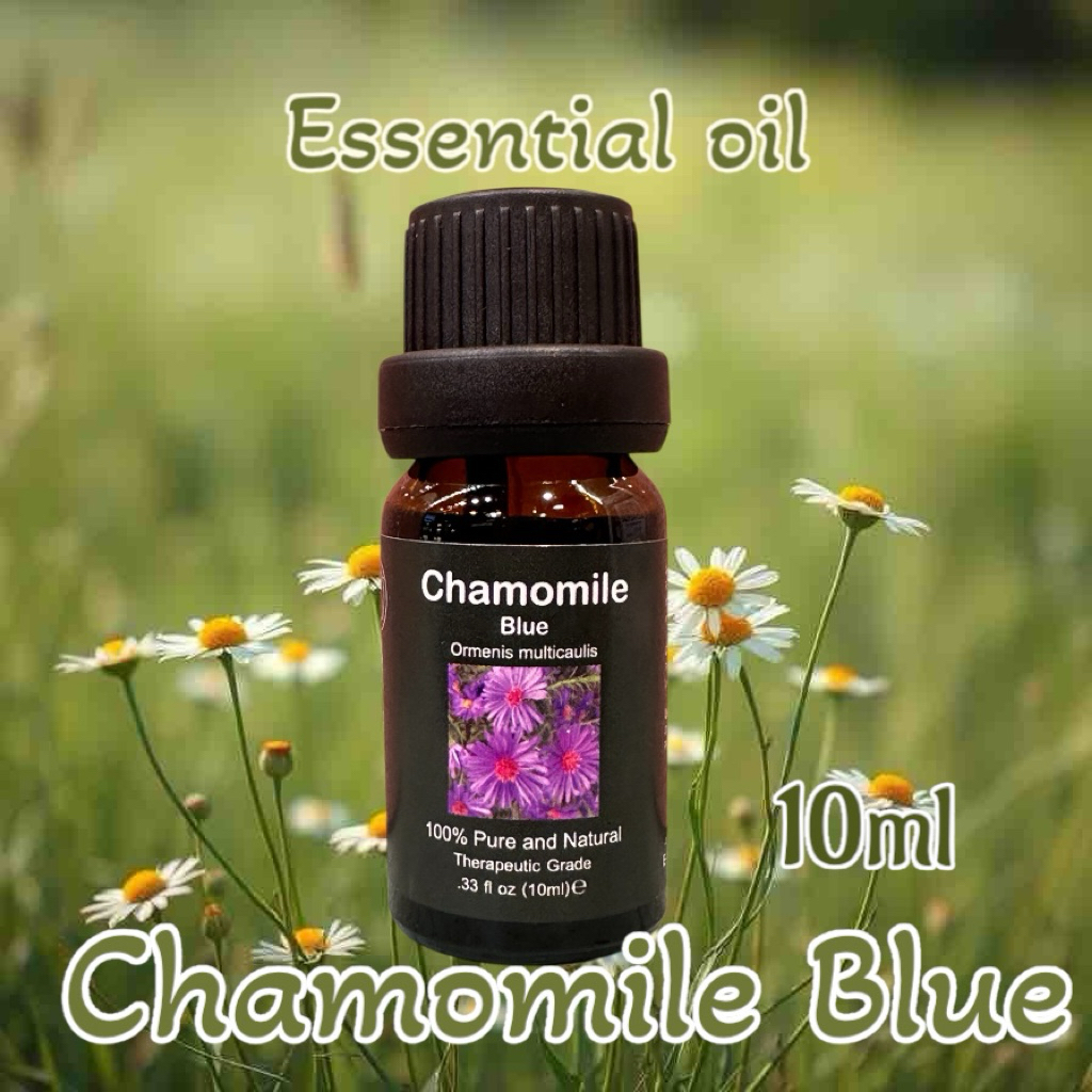 Chamomile Blue oil 10 ml | Shopee Thailand